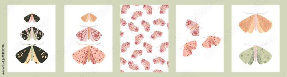 Butterflies A4 Posters - Set of 5 A4 size illustrations on white ...