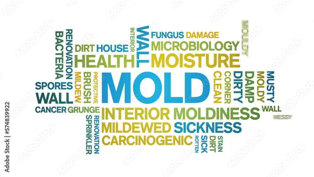 Mold animated tag word cloud;text design animation kinetic typography ...
