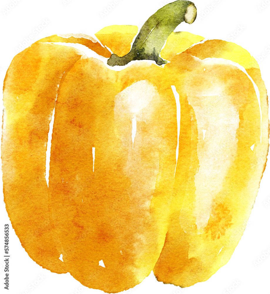 Yellow bell Pepper hand drawn watercolor painting isolated on white ...