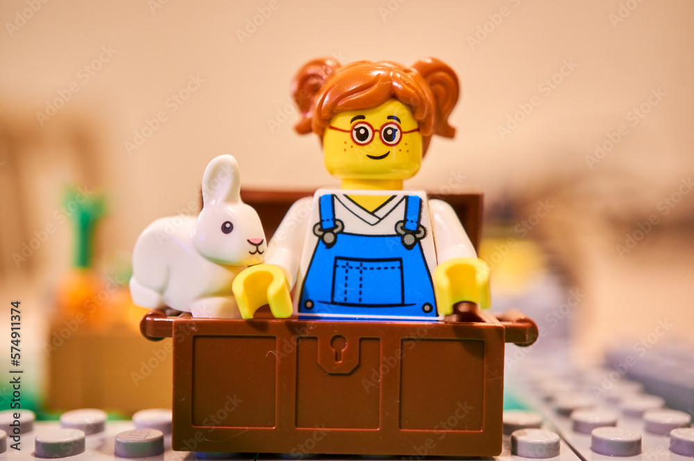 Lego girl figurine sitting inside a box with a rabbit Stock Photo ...