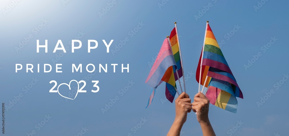 HAPPY PRiDE MONTH 2023' on bluesky with LGBTQ+ flags and rainbow flag ...