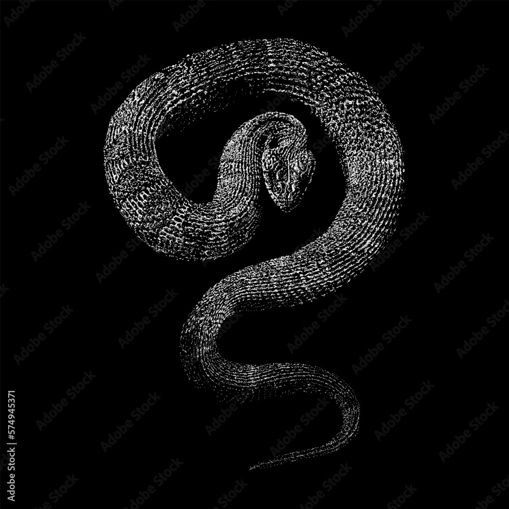 Northern Water Snake hand drawing vector isolated on black background ...