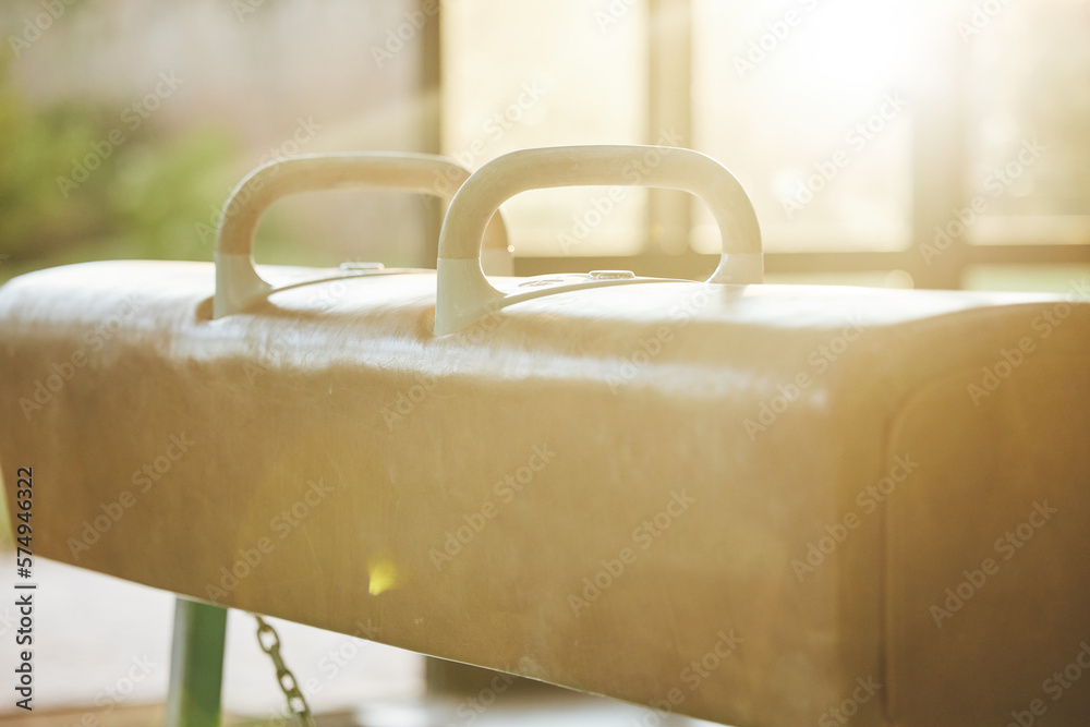 Gymnastics pommel horse in gym, training and equipment, exercise ...