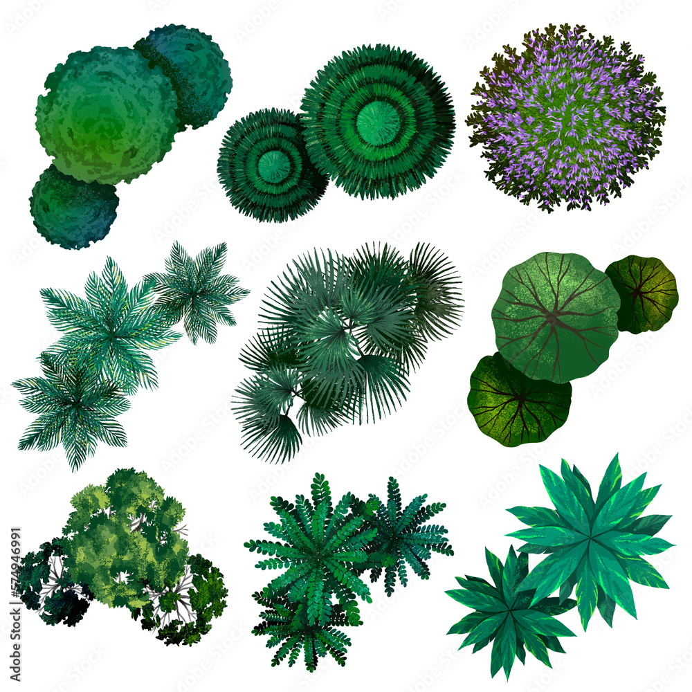 Set of trees elements for landscape design, top view trees. Plans for ...
