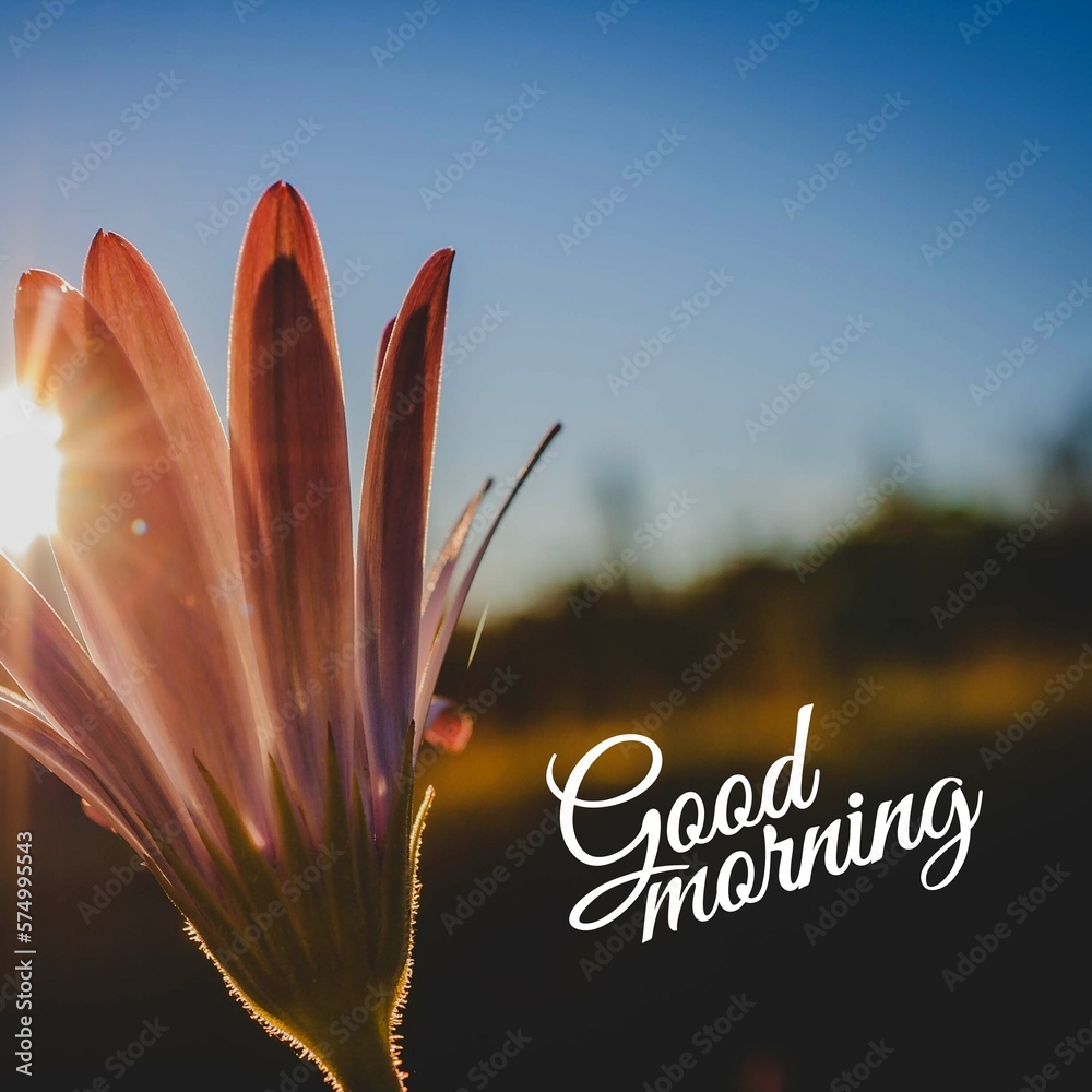 good morning with coffee, good morning, morning vibes, morning with ...