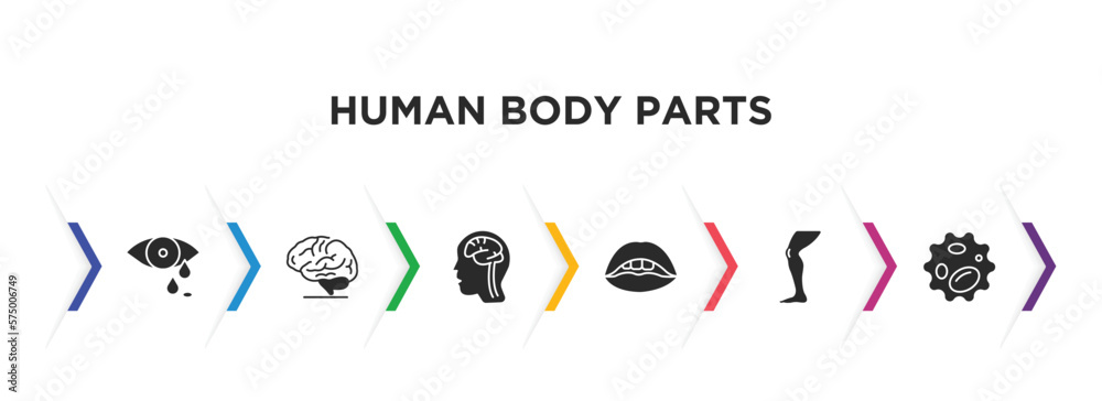 human body parts filled icons with infographic template. glyph icons ...