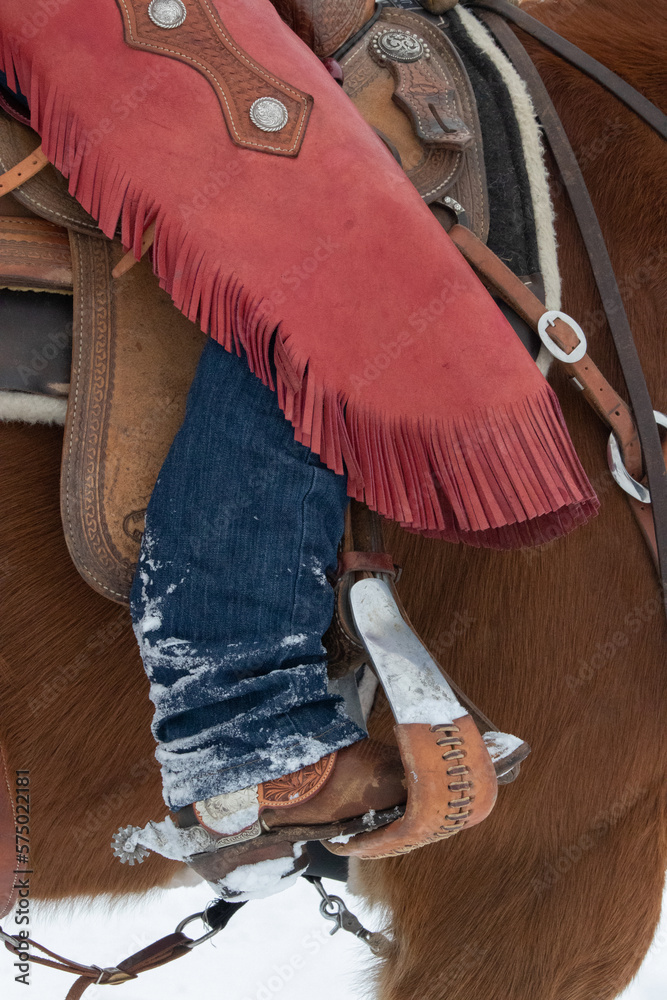 Western lifestyle outdoor image of the lower leg of a cowgirl wearing ...