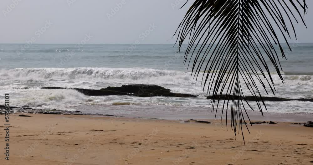 Cape Coast Ghana ocean beach palm tree. Ocean waves crash rocky sandy ...