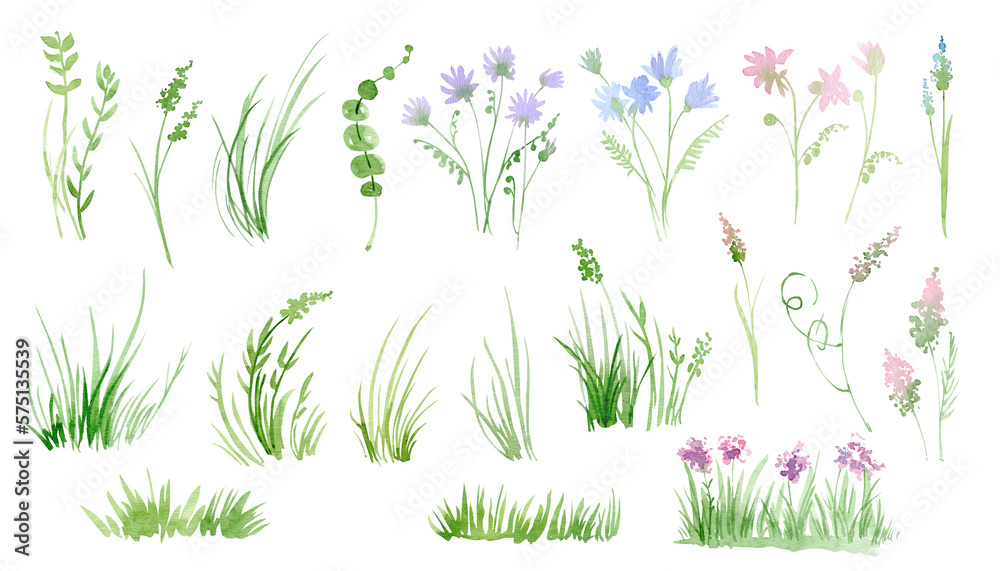 Watercolor background of green grass, spring meadow, wild flowers ...