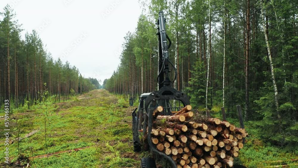 Flying above logging truck putting pile of delimbed cut logs and tree ...