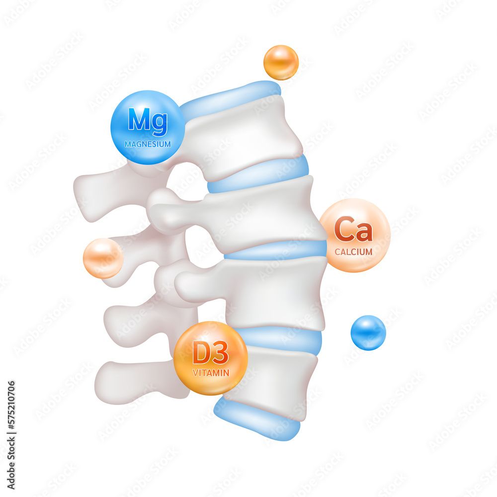 Human spine anatomy, Normal backbone healthy disc skeleton x ray scan ...