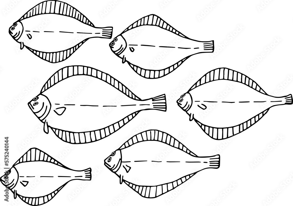 Hand drawing a lot of flounder fish. Vector illustration. A simple ...