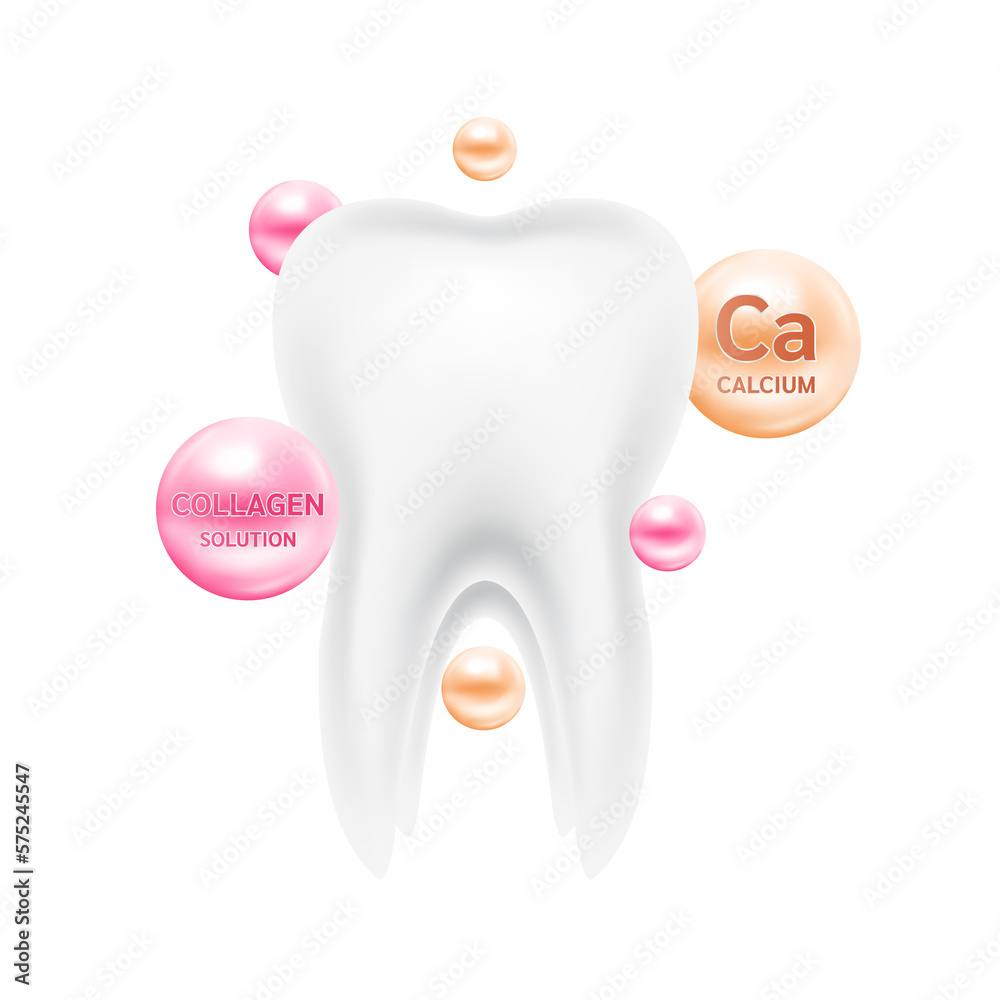 Calcium collagen help heal tooth. Human teeth anatomy. Medical dental ...