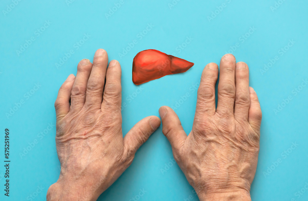 Foto de hands of an old man and a paper-cut liver symbol on a blue ...