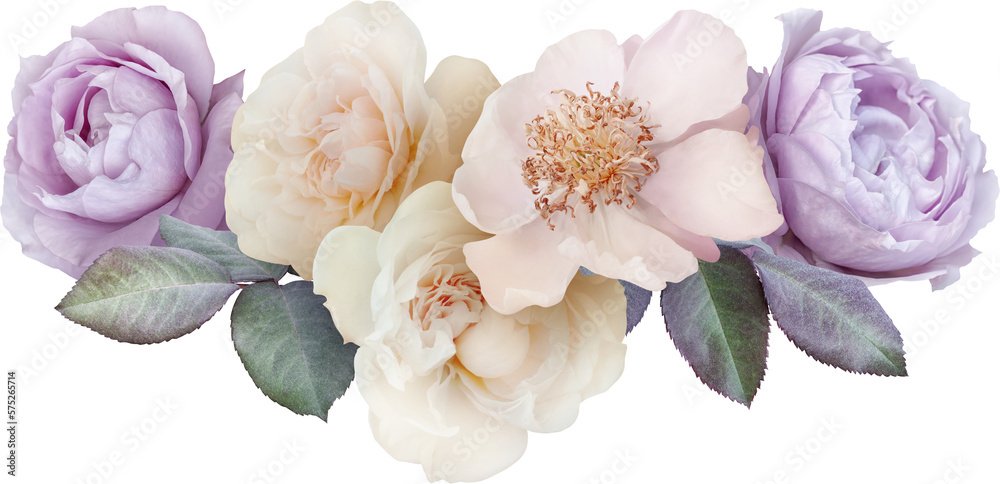 Bouquet of soft lilac and white roses isolated on a transparent ...