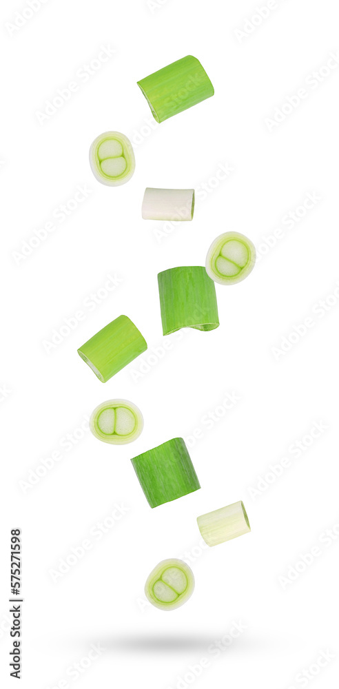 Green japanese onion falling in the air isolated on transparent ...