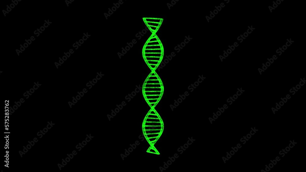 Vidéo Stock 3D DNA strand rotates on black bg. Object dissolved green ...