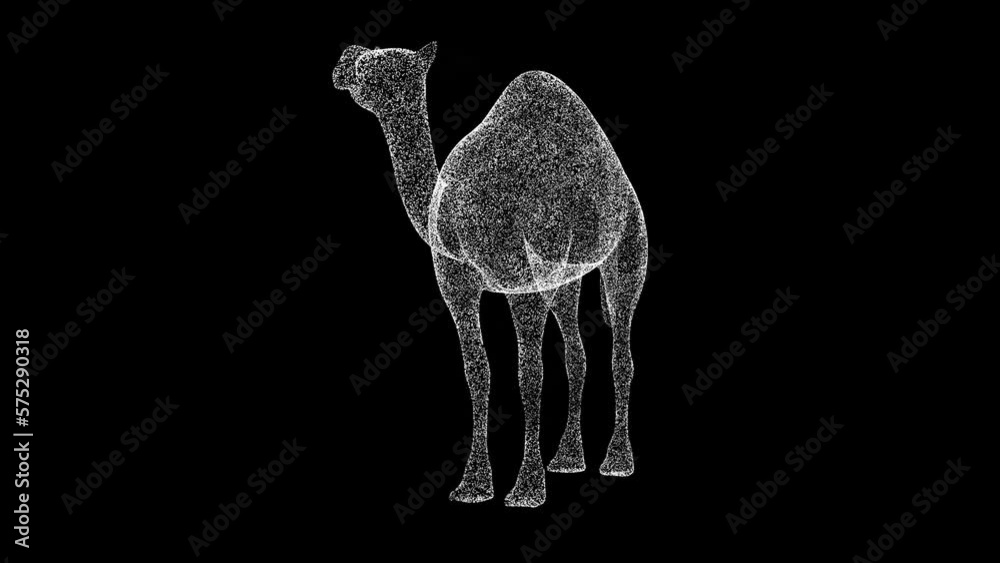 3D camel rotates on black bg. Object dissolved white flickering ...