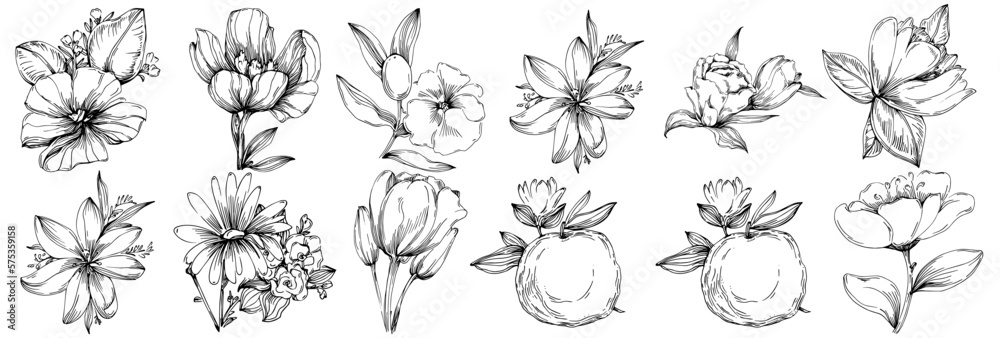 Line drawing flowers, wild flowers, hand drawn vector illustration ...
