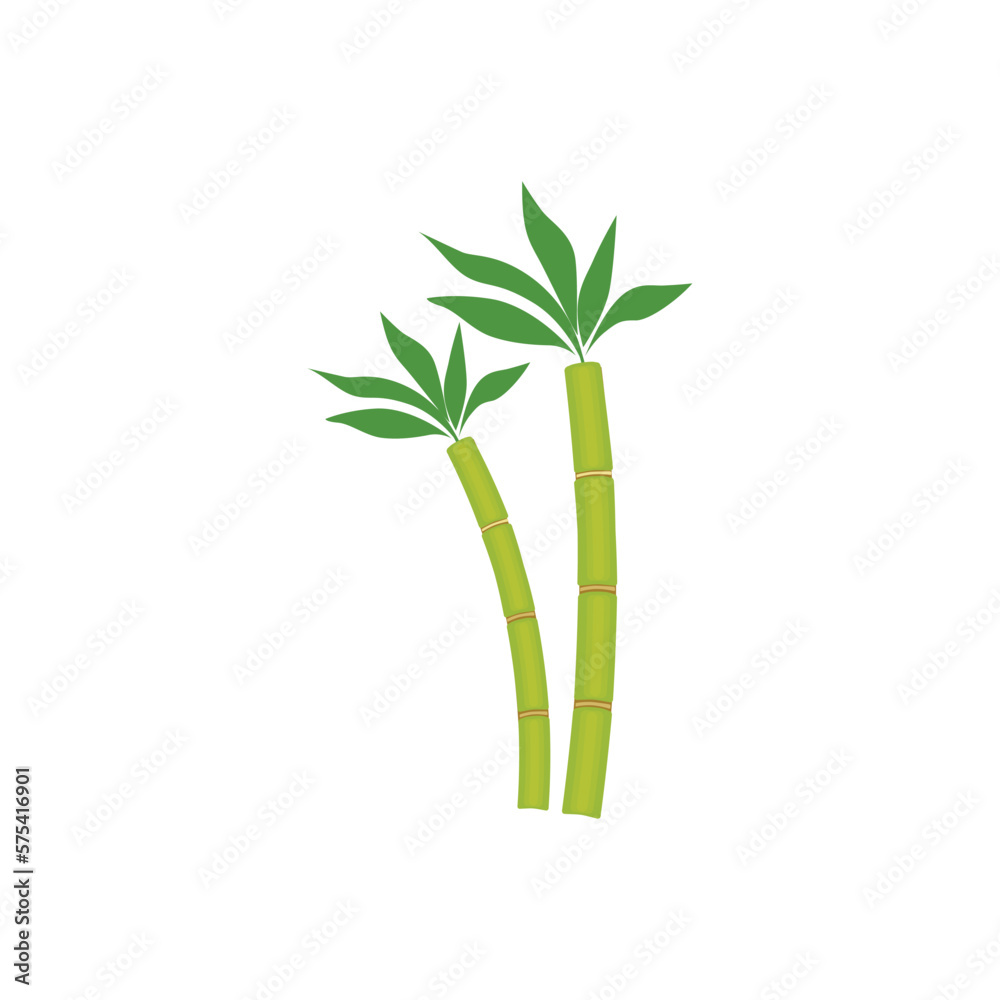 Sugar cane and cane logo. Cane plant, sugarcane harvest stalk, plant ...