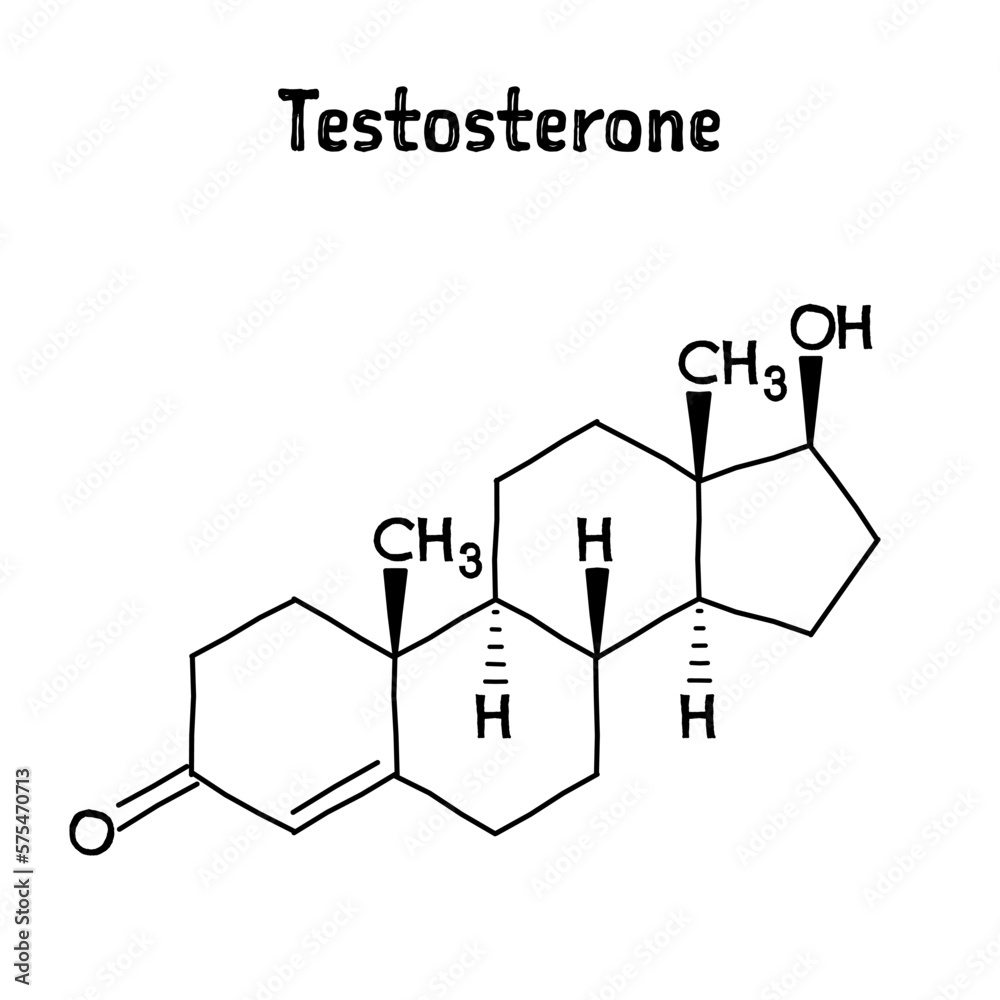 Testosterone Structure