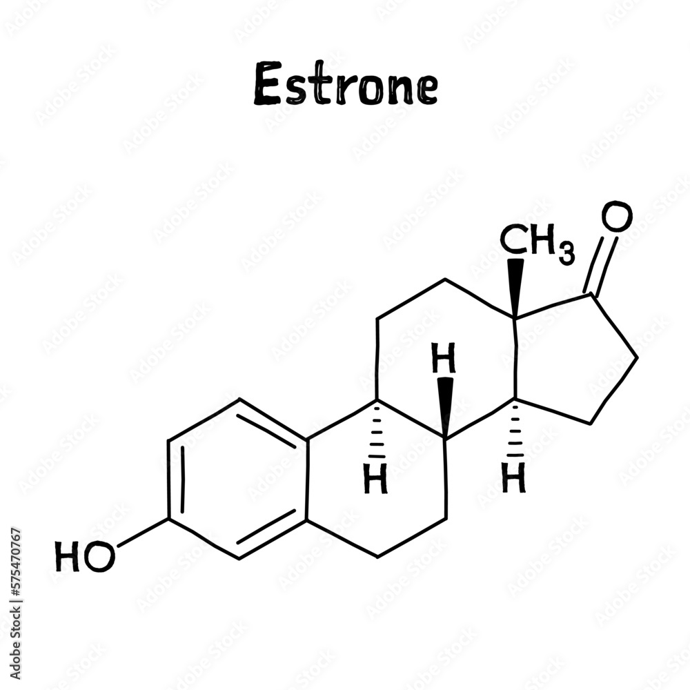 Estrone Structure
