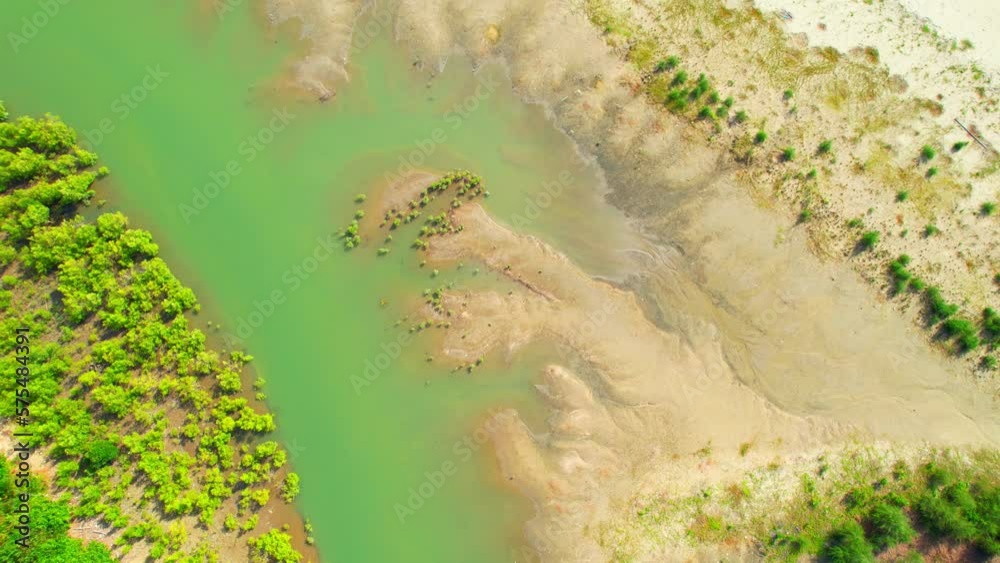 Drone footage showcases the stunning of a beach forests, with some ...