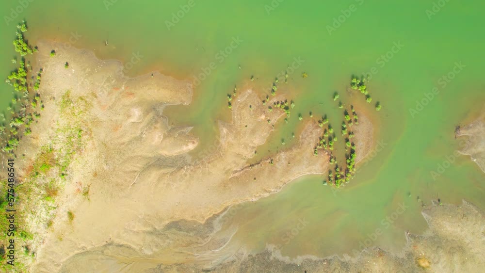 Beach forests and the intricate root systems of mangrove forests can be ...