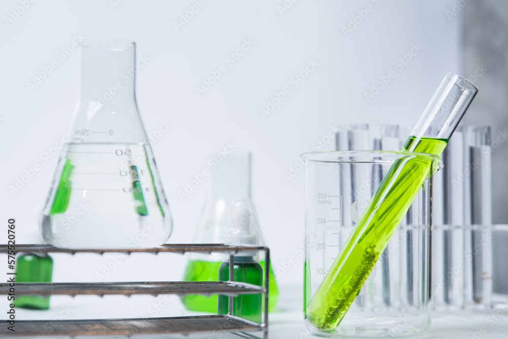 Scientists present the use of biofuels to reduce environmental problems ...