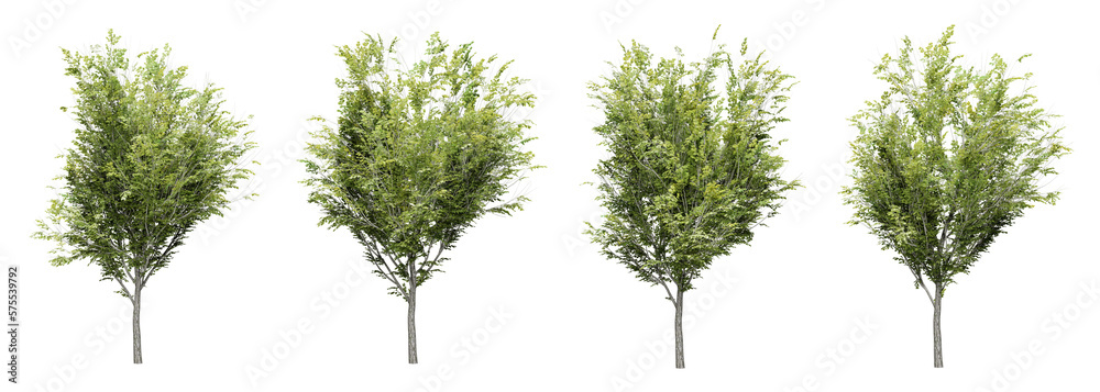 Set of green trees in transparent background, use for visualization in ...