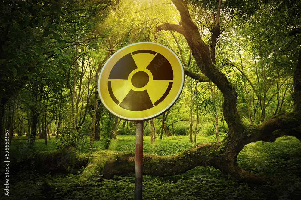 Radioactive pollution. Yellow warning sign with hazard symbol near ...
