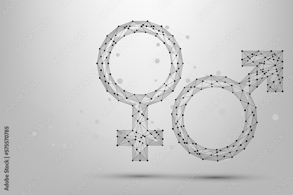 ภาพประกอบสต็อก Abstract Mesh Line And Point Male And Female Symbols Low Poly Wireframe Sex