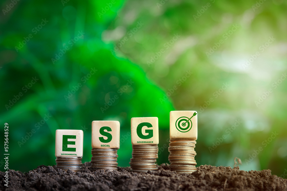 Wooden blocks with the word ESG on a green background with beautiful ...