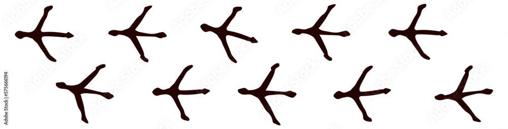 Traces of chicken. Vector drawing Stock Vector | Adobe Stock