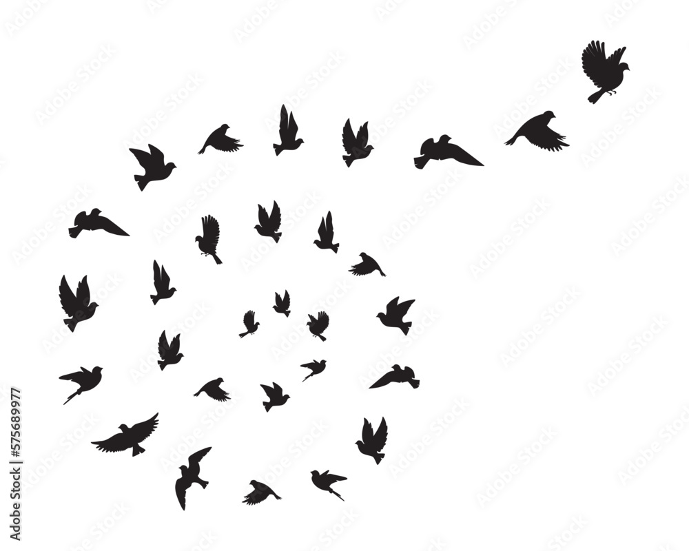 Birds flock flying in harmony making the sign of infinity, vector ...