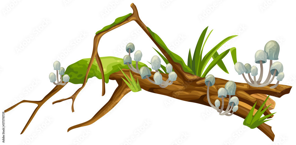 Mushrooms, moss on logs. Cartoon stump in toadstools in swamp forest ...