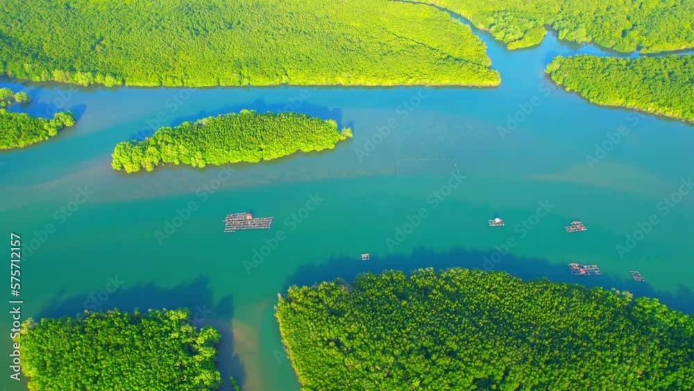 Mangrove forests Island is a stunning natural with a rich estuary ...