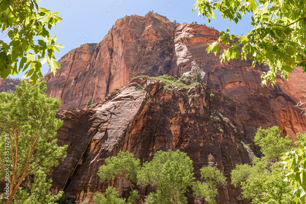 Zion Canyon red rock wall, cliff and trees on the canyon floor of Zion ...