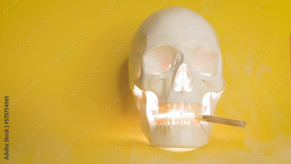 skull of a man with a cigarette bone skeleton,one object,sinister ...