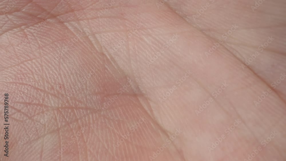 Close-up of hand skin texture. Detailed human skin, lines on hand palm ...