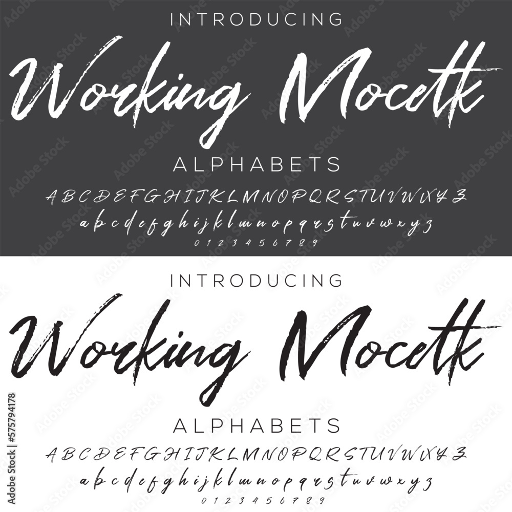 Hand drawn vector alphabet. Script font. Isolated letters written with marker, ink. Calligraphy ...