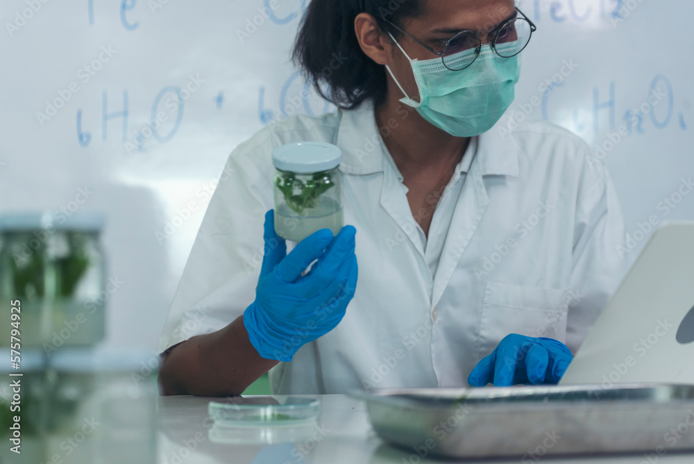 Foto de Biochemistry asian Scientist men working plants tissue culture ...