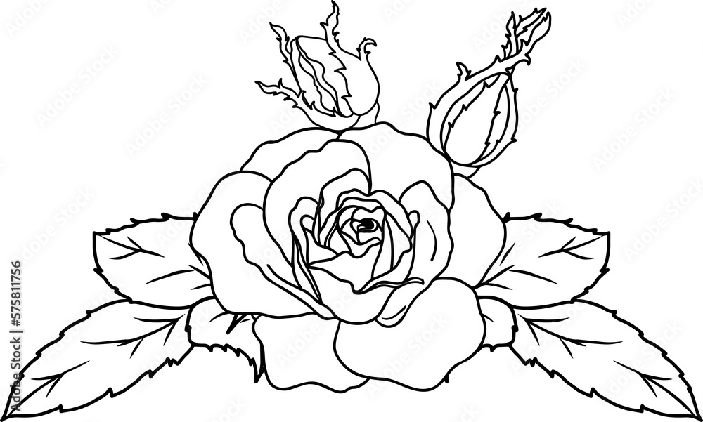 Burgundy iceberg rose png.Beautiful flower on transparent background ...