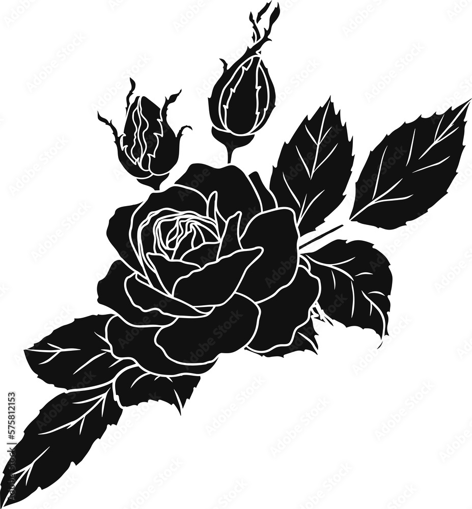 Burgundy iceberg rose png.Beautiful flower on transparent background ...