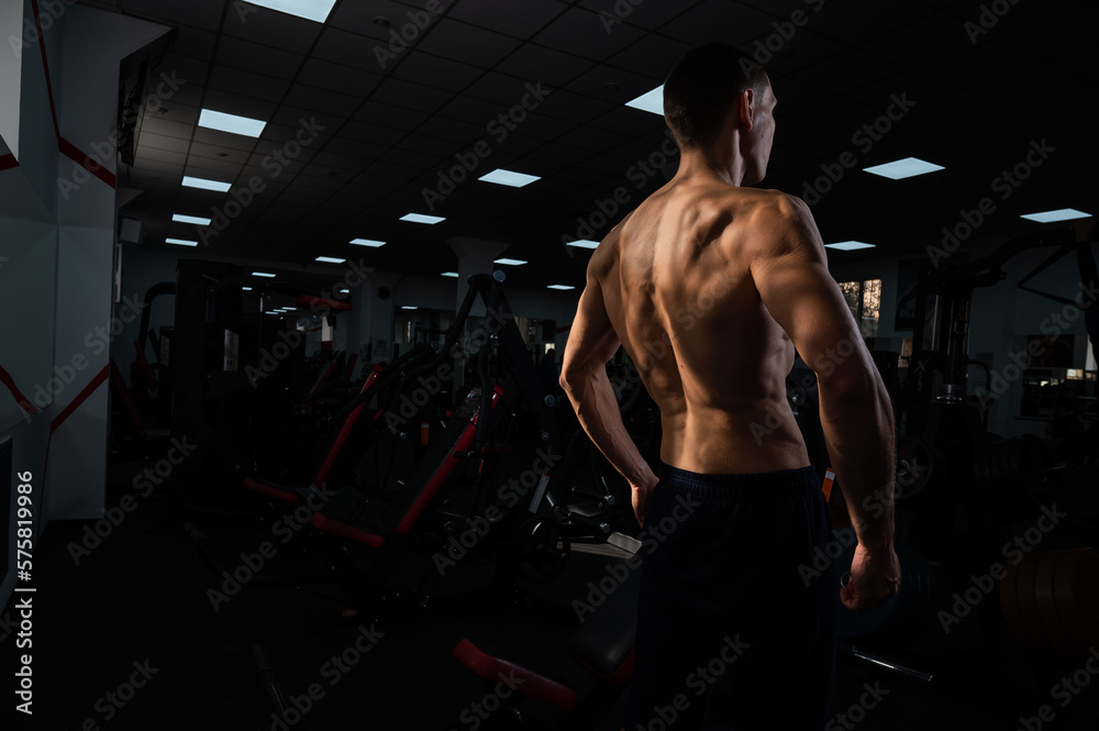 Back view of shirtless man with sculpted body in gym. Stock Photo ...