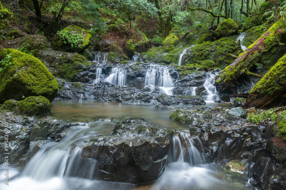 Cascade waterfalls at Cataract Falls. Mount Tamalpais State Park, Marin ...