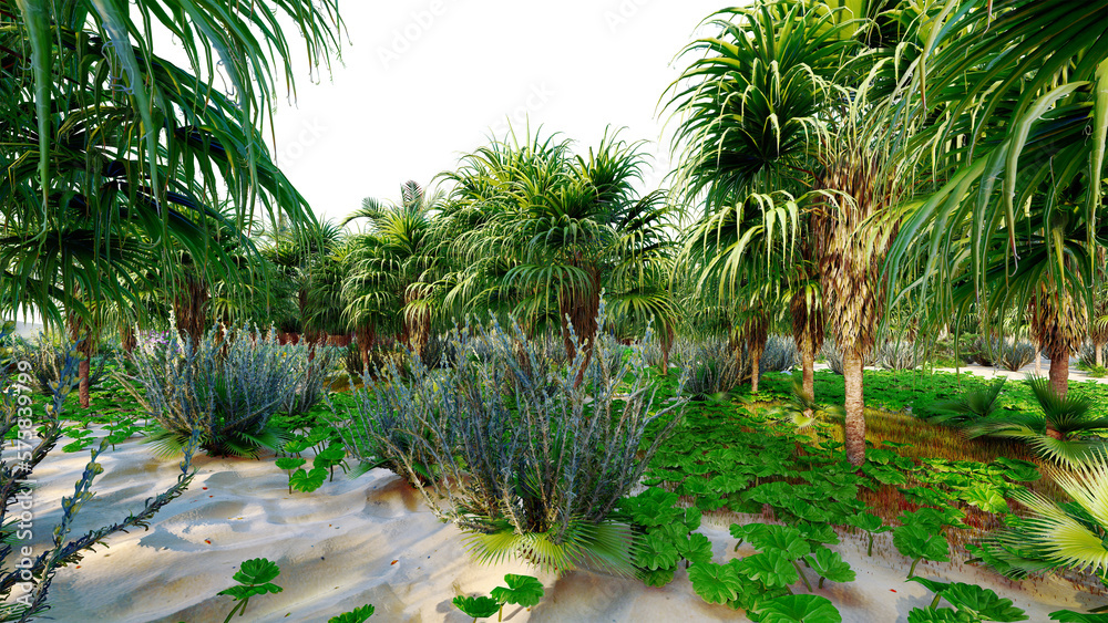 Rainforest wallpaper on a transparent background. 3D rendering Stock ...