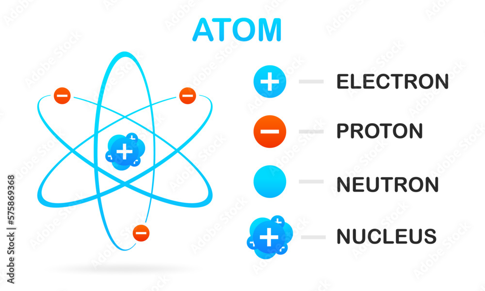 The atomic structure vector consists of protons, neutrons and electrons orbiting the nucleus ...