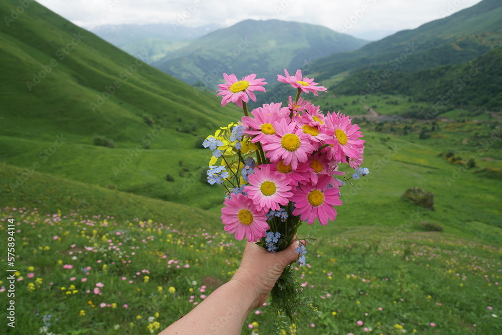 Beautiful pink flowers bloom in the majestic mountains of Georgia's ...