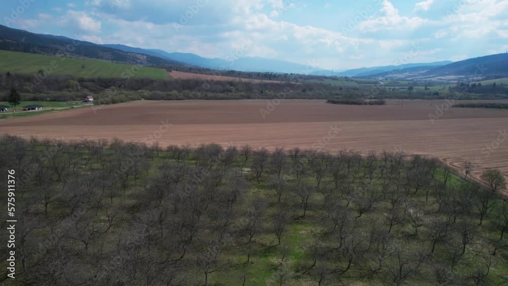 The drone view of the dead land agriculture presents an eerie and ...